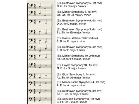 Timpani Ranges A Quick Guide To Sizes And Tuning Atelier Yuwa Ciao Jp