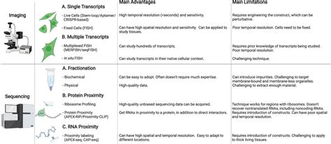 Subcellular Spatial Transcriptomes Emerging Frontier For Understanding Gene Regulation