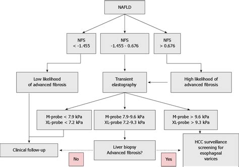 Figure 1 From Liver Fibrosis In Non Alcoholic Fatty Liver Disease Diagnostic Challenge With