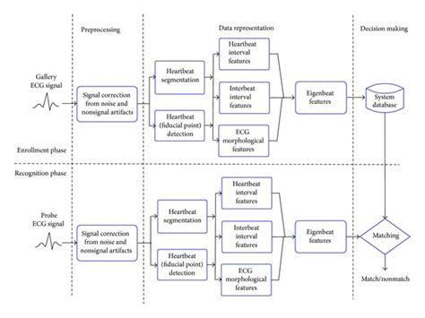 Schematic Representation Of Ecg Biometric System The System Performs