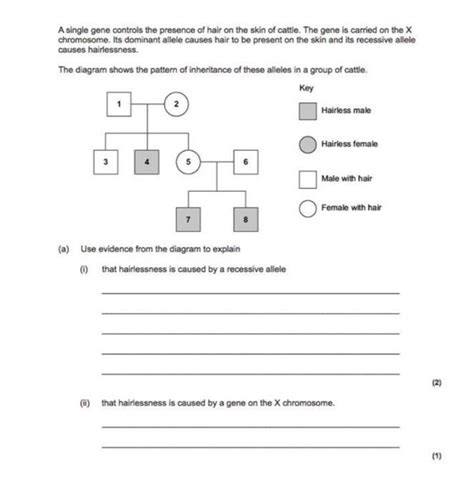 Solved Red Green Colour Blindness Is Caused By A Mutation In