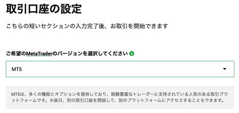 Mql5のソースファイルをコンパイルして、実際にeaをmt5で動かす方法 海外 Fx ＆ Ea 研究