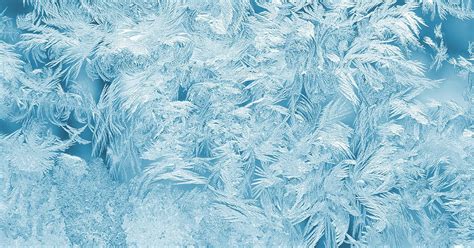 Cryotherapy Faqs Will Freezing Skin Cancer Cells Kill Them All