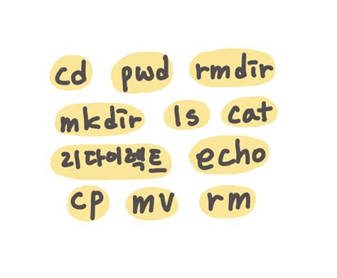 리눅스 1 기초 명령어1 Cd Pwd Rmdir Mkdir Ls 리다이렉트 Cat Echo Cp Mv Rm 공부 기록