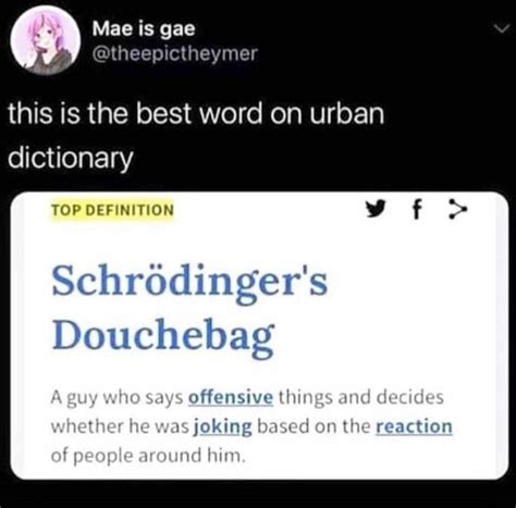 Cat Douchbag Meme By Mercenary Hero Memedroid