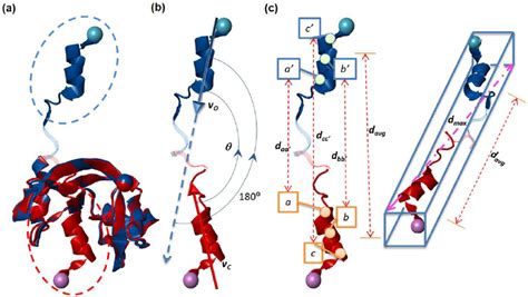 Measurement And Normalization Of The Angular Difference And Download Scientific Diagram