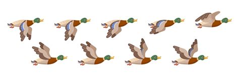 오리 파리 애니메이션 오리 비행 날개 포즈 시퀀스 루프 비행 야생 조류 운동 무리를 짓는 실루엣 스프라이트 시트 사이클 프레임