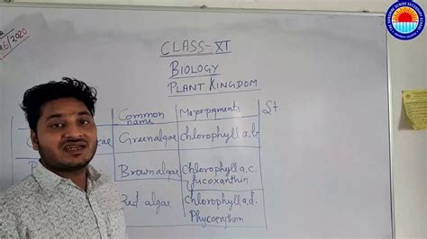 Class 11 Algae Classes Chart Overview Youtube