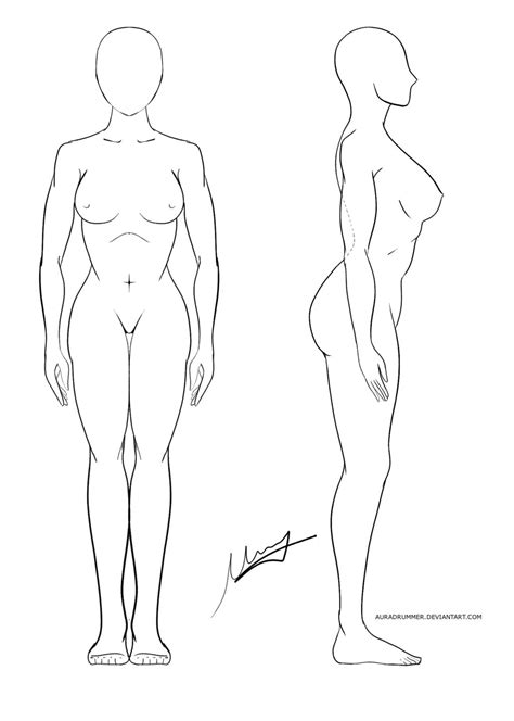 Woman Blueprint By Auradrummer On DeviantArt