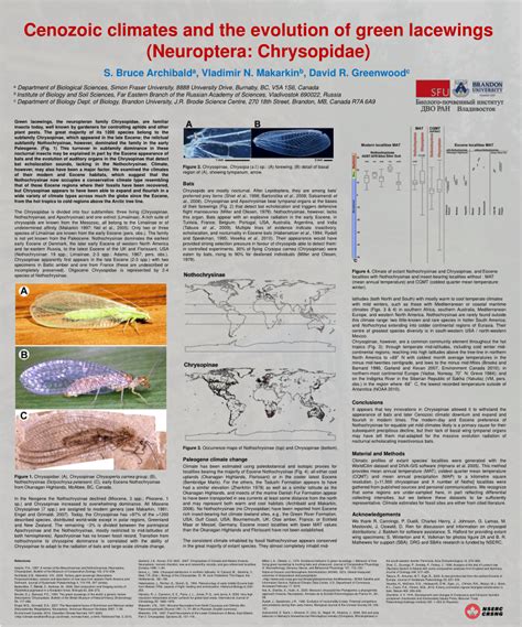 Pdf Cenozoic Climates And The Evolution Of Green Lacewings Neuroptera Chrysopidae