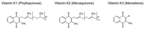 Vitamin K Structure