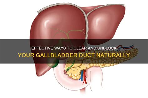 Effective Ways To Clear And Unblock Your Gallbladder Duct Naturally