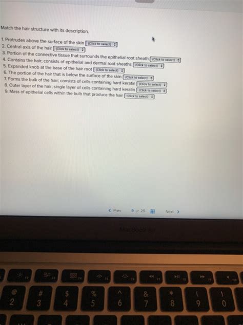 Solved Match The Hair Structure With Its Description 1