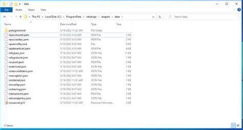클라이언트 구성 화면에서 Netskope Private Access Gateway 누락 Dell 대한민국
