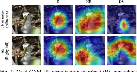 figure 1 from exploring robust features for improving adversarial
