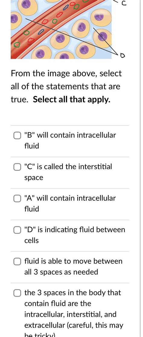 [answered] 98 From The Image Above Select All Of The Statements That Kunduz