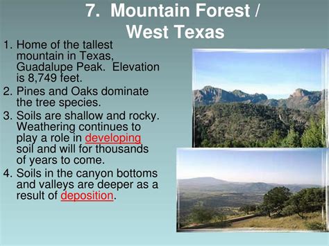 Ppt Texas Ecoregions Powerpoint Presentation Free Download Id 6739871