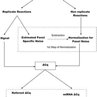 Schematic Representation Of The Normalization Procedure And Estimation Download Scientific