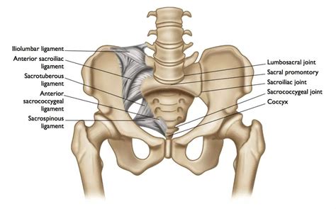 Sacroiliac Joint Surgery Sciatica Clinic