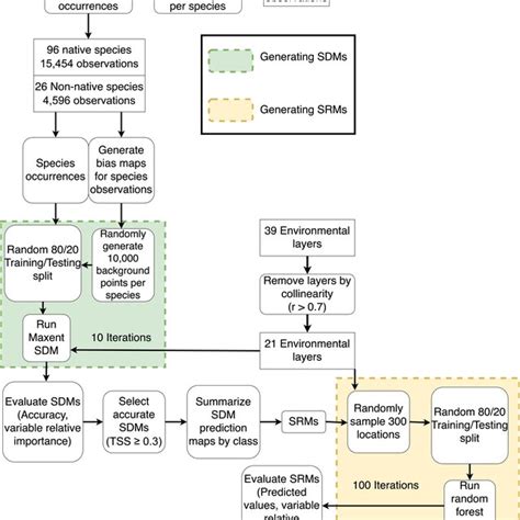 Workflow Diagram For Generating And Evaluating SDMs And SRMs Download Scientific Diagram