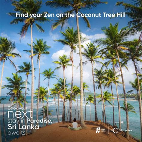 Cosco Shipping Lines Lanka Pvt Ltd Sri Lanka Maritime Directory