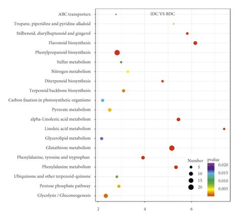 Functional Analysis Of Degs Among Callus In Different Induction States Download Scientific