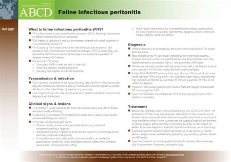 Diagnosing And Testing For FIP FIP Cats UK
