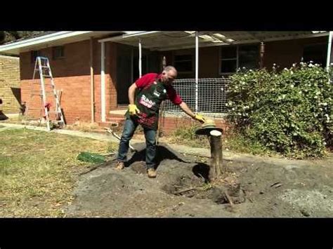 Tree Stump Removal Chemical