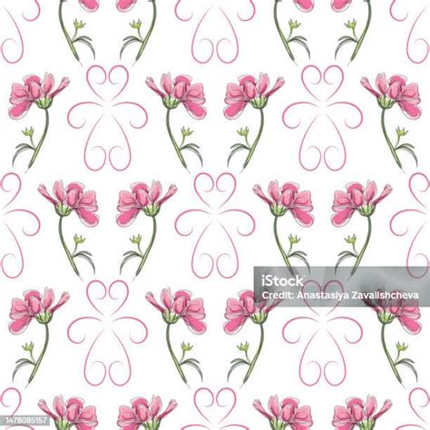 현대적인 원활한 꽃 무늬 흰색 배경에 손으로 그린 분홍색 꽃 세련된 인쇄 인쇄 웹 사이트 디자인을위한 우아한 템플릿 0명에 대한 스톡 벡터 아트 및 기타 이미지 Istock