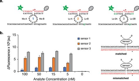 Sensor Optimization A Overview Of Multicomponent Nucleic Acid Download Scientific Diagram