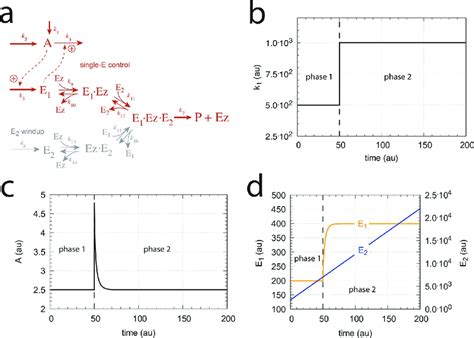 Gives An Example Where K Has Been Increased To While The Download Scientific Diagram