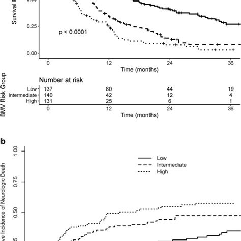 Comparison Of Survival Outcomes Stratified By Brain Metastasis Velocity Download Scientific