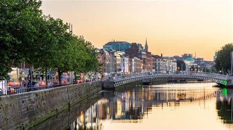 Fragmentation What Is Examples And How This Form Of Asexual Reproduction Works Evidence Network