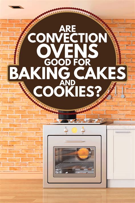 5 Important Things To Know About Baking In A Convection Oven Artofit