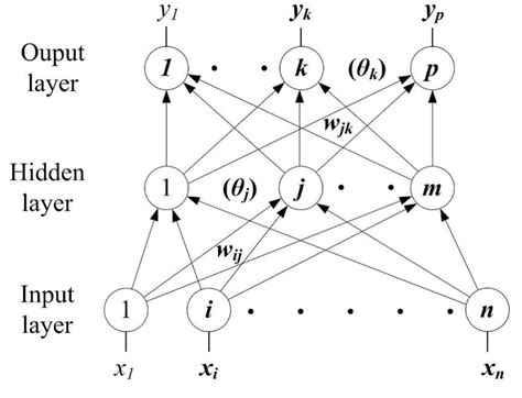 Artificial Neural Network Architecture
