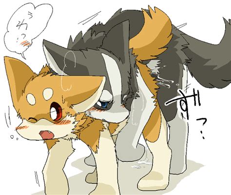 Rule 34 All Fours Ambiguous Gender Ayaka Blush Bodily Fluids Canid