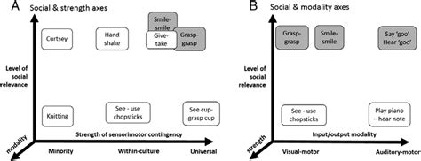 The Space Of Sensorimotor Contingencies People Learn A Wide Variety Of