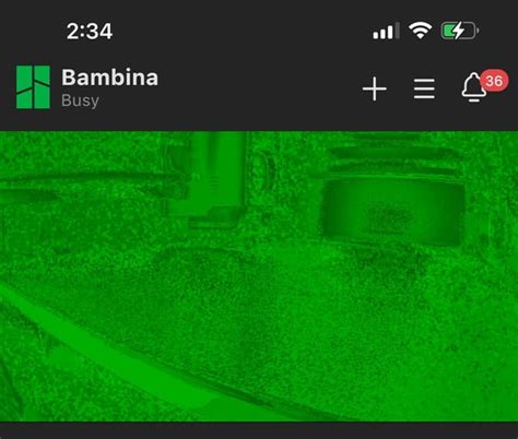 so my camera view on the app is green r bambulab