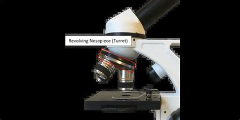 Microscope Nosepiece Explained Microscope Clarity Microscope Nosepiece Explained Microscope Clarity