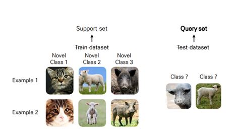 Introduction To Few Shot Learning And Meta Learning