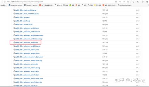 Caddy下一代web服务器实战 知乎