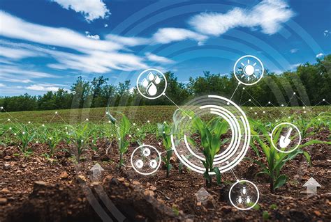 Ai In Precision Agriculture Optimizing Crop Yield Through Data Driven