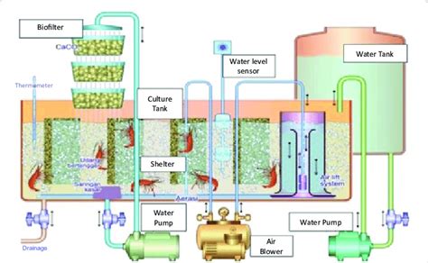 Scheme Of Biofiltration Technology Applied In Up Scaled Zero Water Download Scientific Diagram