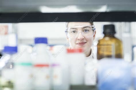 Researcher Analysing Samples In A Laboratory Stock Image F0428487