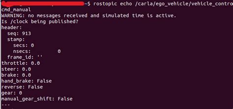 Carla Rosbridge Manualpy Doesnt Publishes Control Commands In