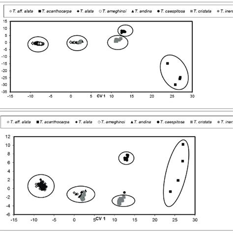 Plot Of The Canonical Discriminant Analysis From The Morphometric Data
