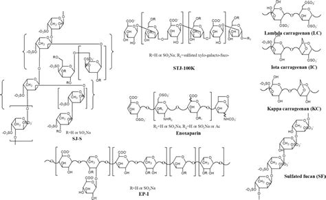 Frontiers Interactions Of Marine Sulfated Glycans With Antithrombin And Platelet Factor 4