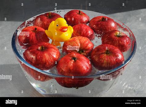 Ducking For Apples Yellow Plastic Duck Enjoying A Good Splash About In A Bowl Of Water And Red