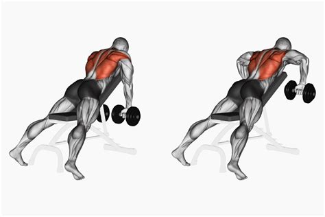 13 Best Dumbbell Back Exercises For Lat Strength Size