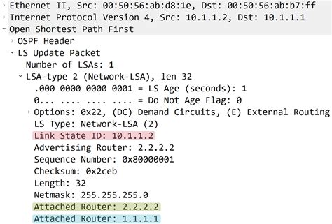 OSPF NBMA ゆるふわねっとわーく